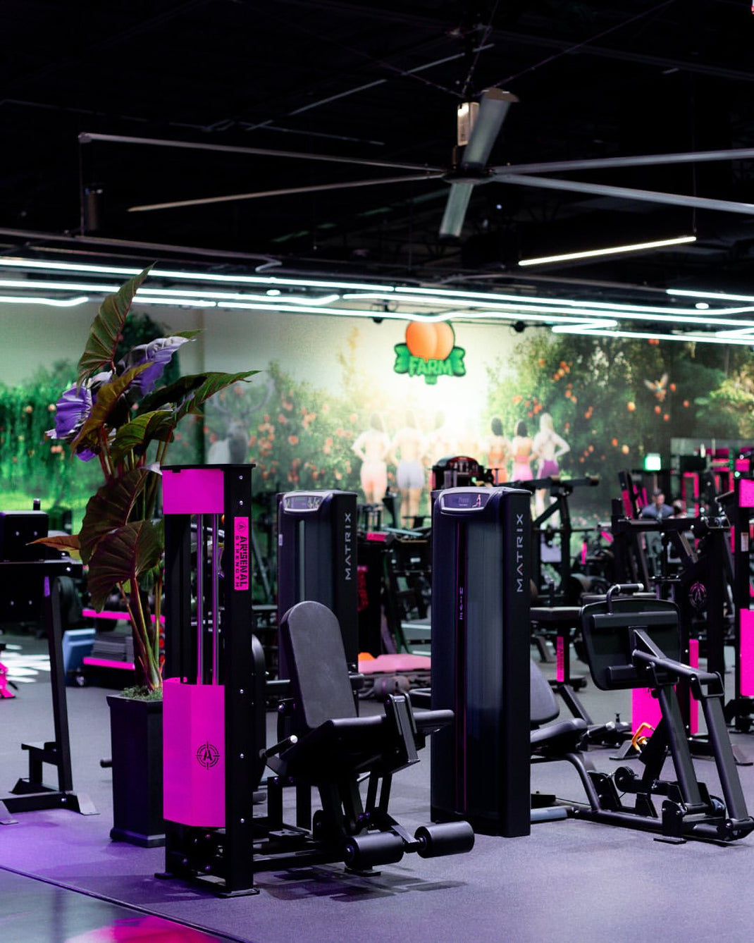 Hive Fit Club | Fitness & Wellness Club in Scottsdale, AZ